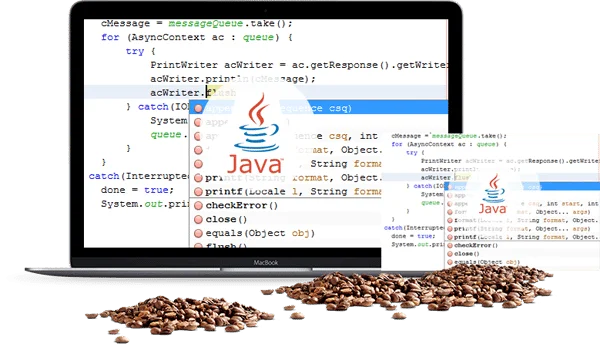 Java/J2EE | Discover iTech